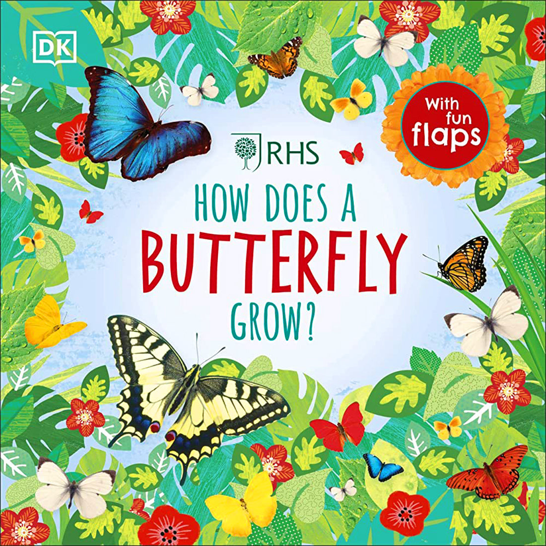 How Does a Butterfly Grow? by DK / Board Book - NEW BOOK – New Book Joy